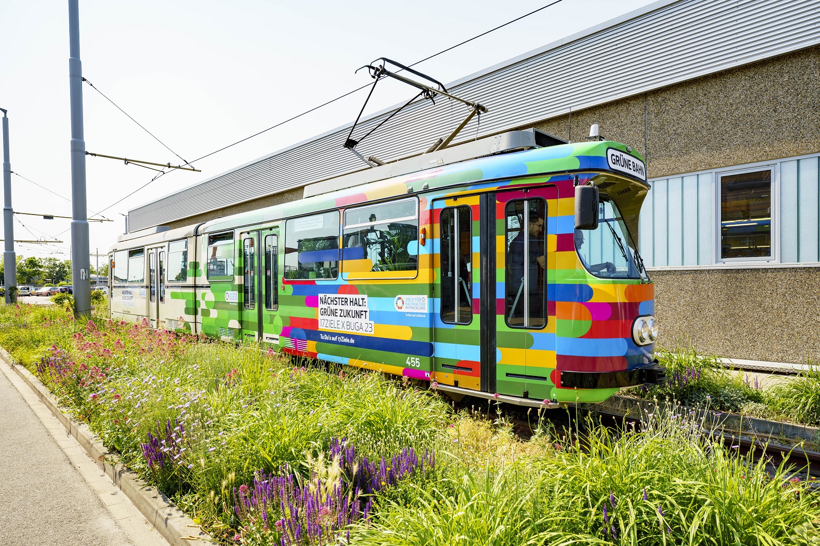 Damals wie heute grün - eine Straßenbahn mit besonderer Geschichte ...
