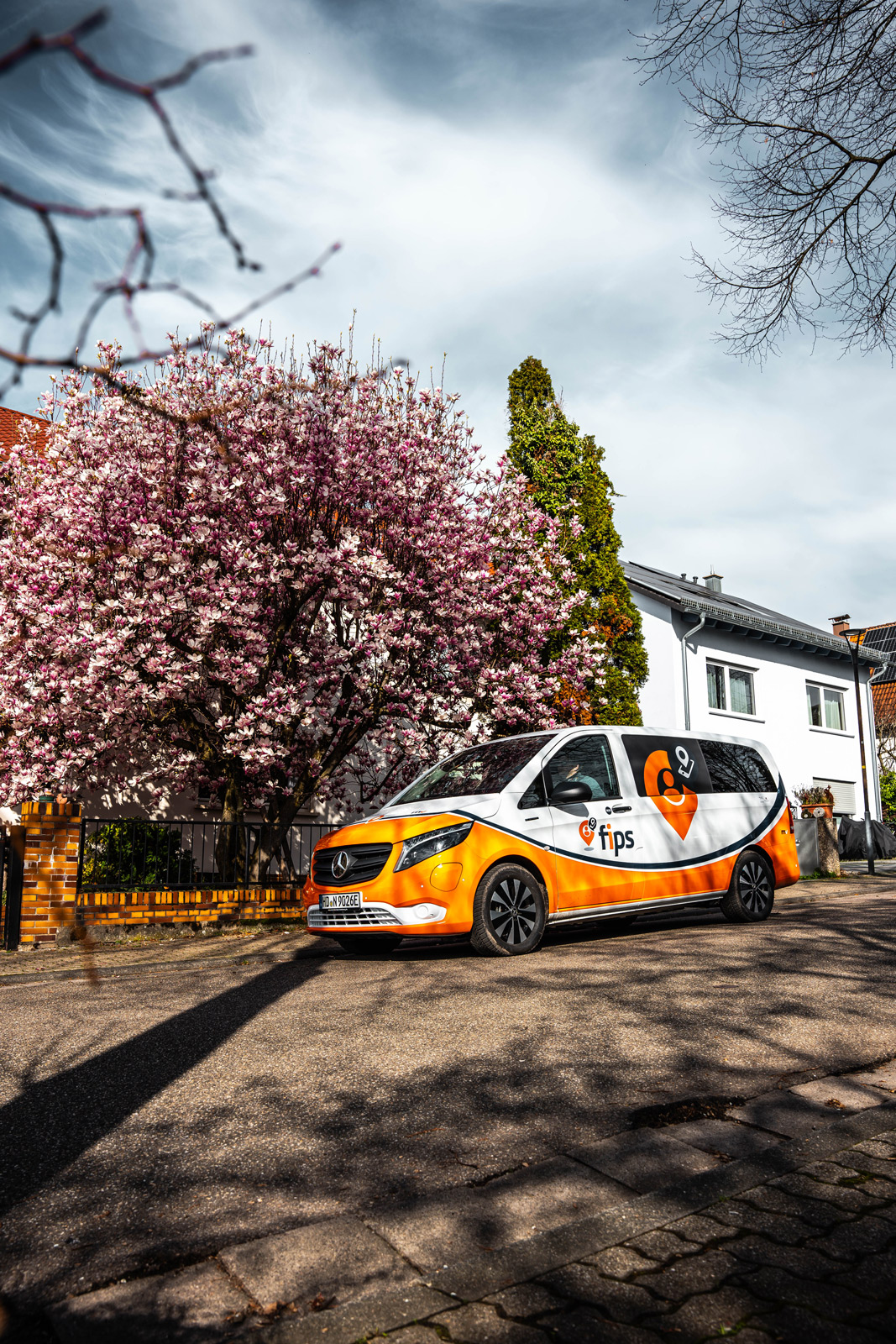 rnv-Blog: Willkommen in Heidelberg, fips! · der Blog der rnv