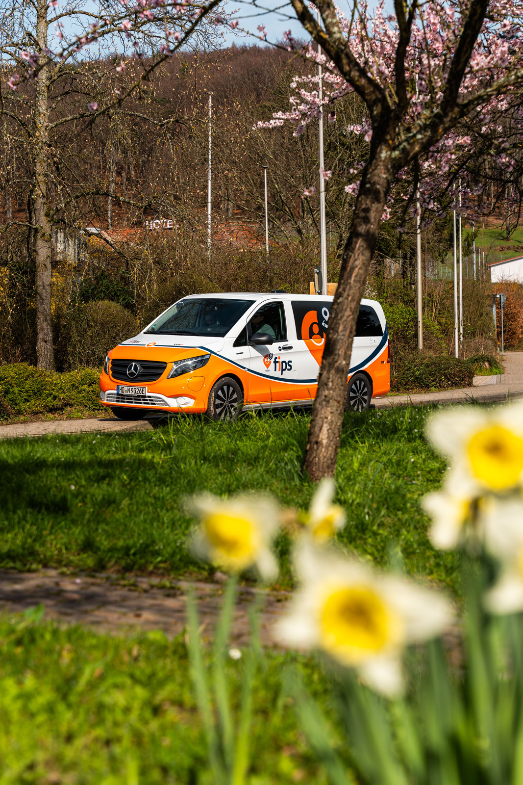 rnv-Blog: Willkommen in Heidelberg, fips! · der Blog der rnv